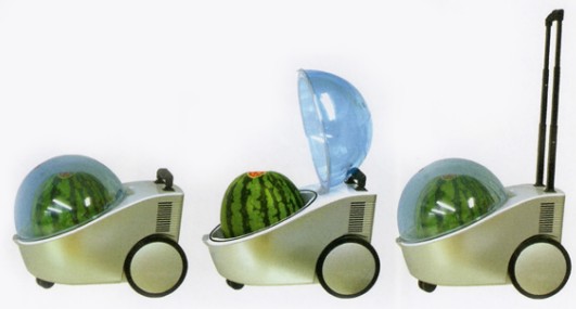 Nevera portátil para sandías - Monologos